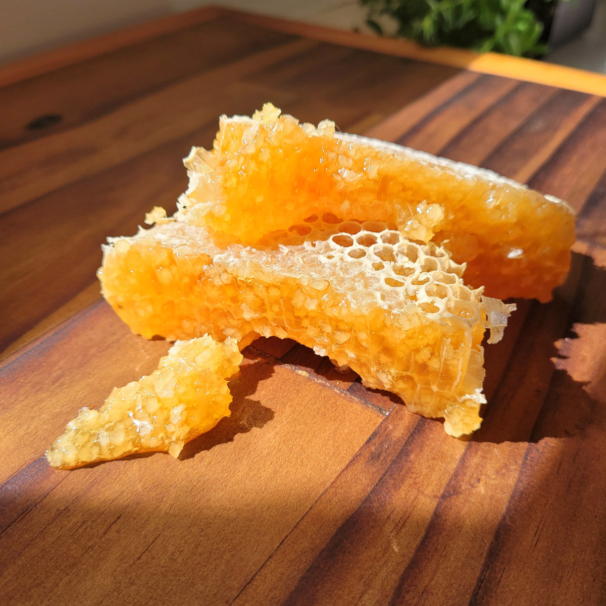 Honey Comb – Settlers Honey Limited